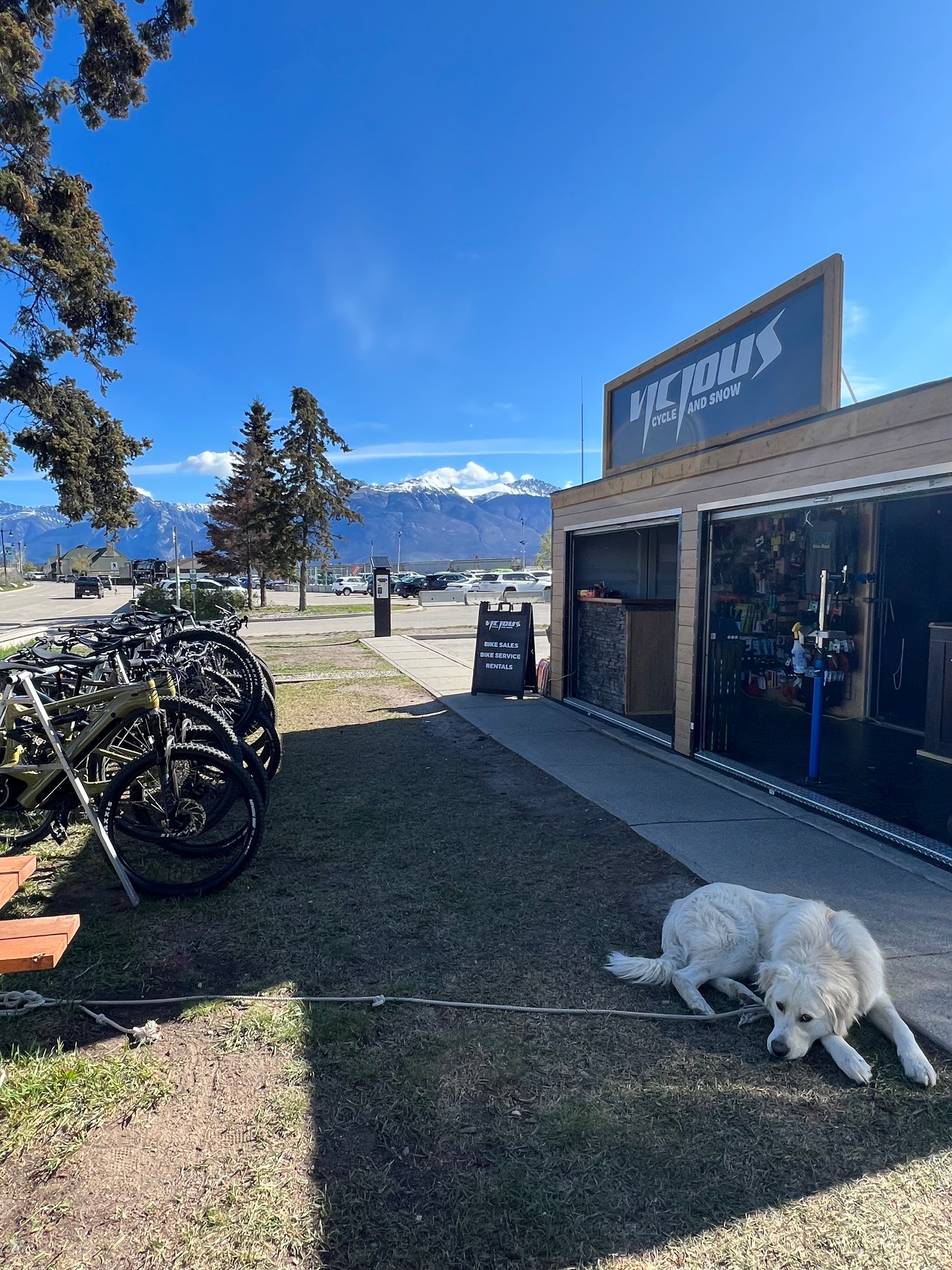 Locations – Vicious Cycle and Snow